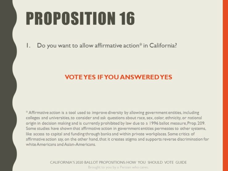 2020 Ballot Guide | Maral Farsi